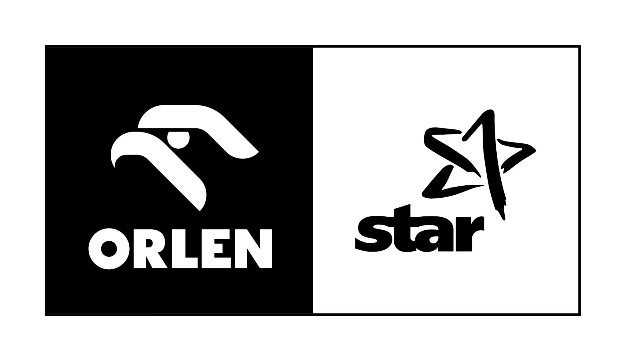 Erfolgreicher Saisonstart: Zebras gewinnen beim HC Erlangen in der ...