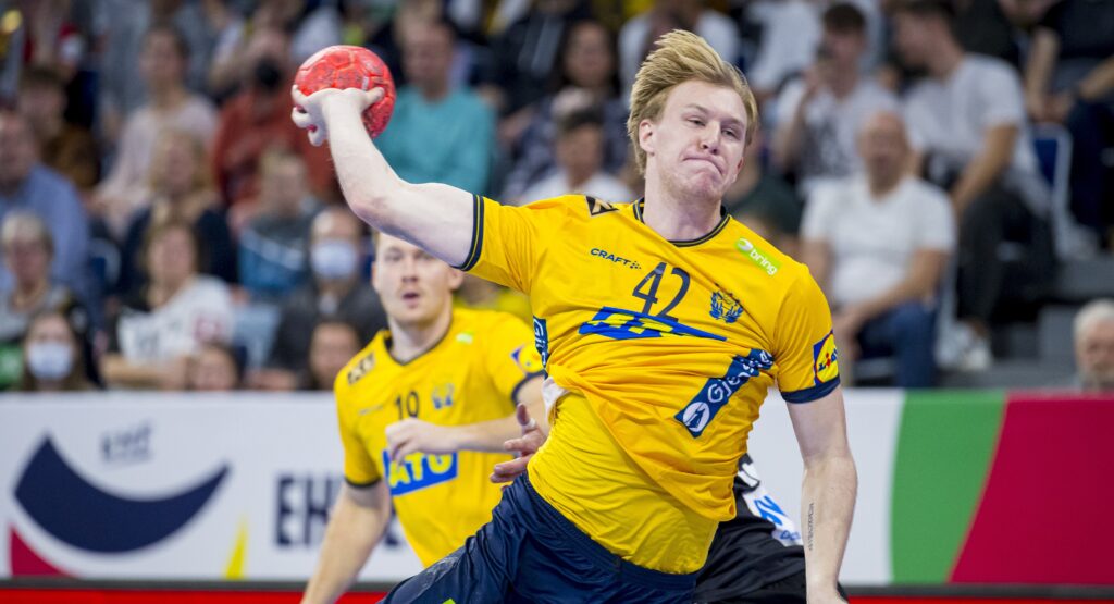 Zahlreiche Zebras bei der Weltmeisterschaft in Polen und Schweden auf ...