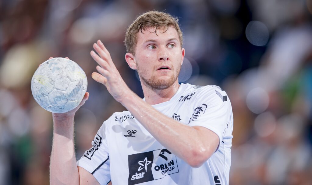 Handball-WM 2023: Vier Zebras erreichen mit ihren Teams das Halbfinale ...
